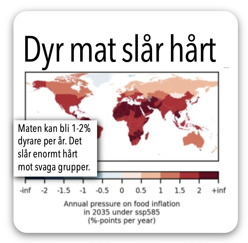 Klimatet hetsar priser - Hemberg energi + ekonomi